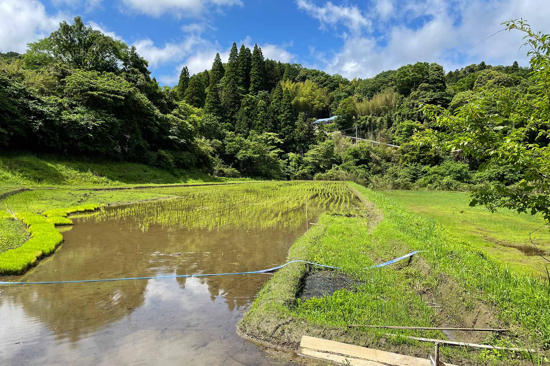 【KAMO FOLK SCHOOLとは】1.加茂で日本初のフォークスクール - KAMO FOLK SCHOOL